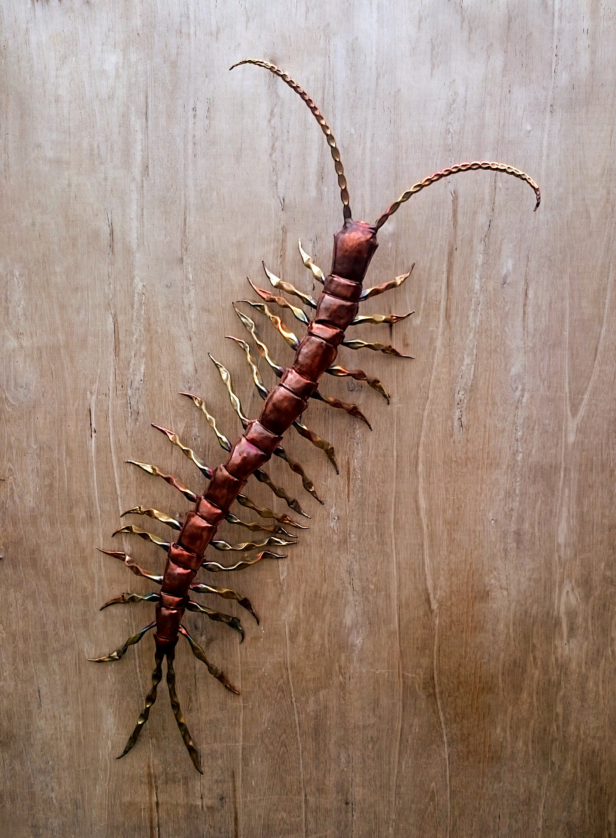 Ants and Bugs collection - Copper Creatures