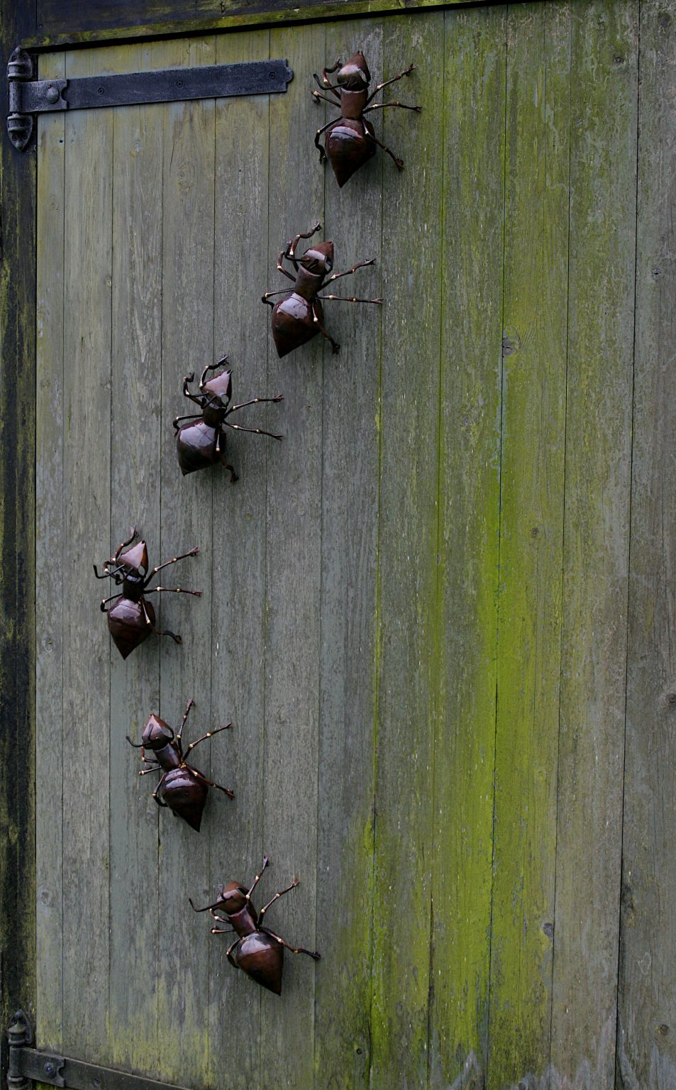 Ants and Bugs collection - Copper Creatures