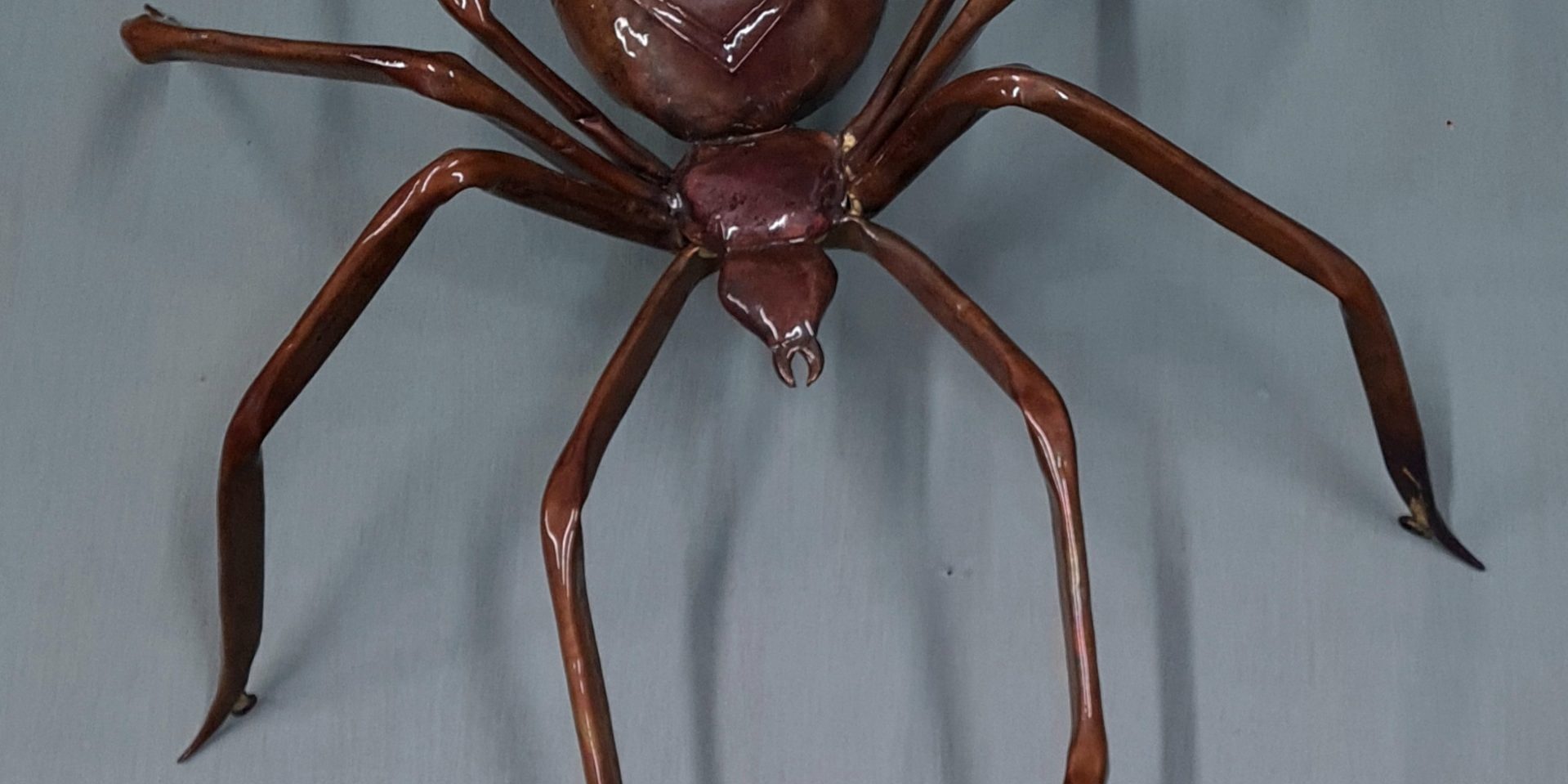 Copper Creatures – by Emily Stone