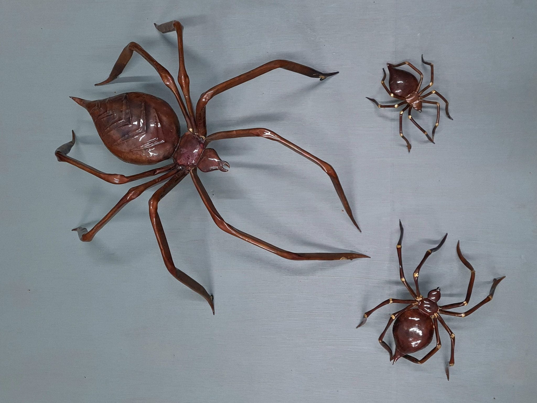 Emily Stone Copper Spider Sculpture sizes rotated - Copper Creatures