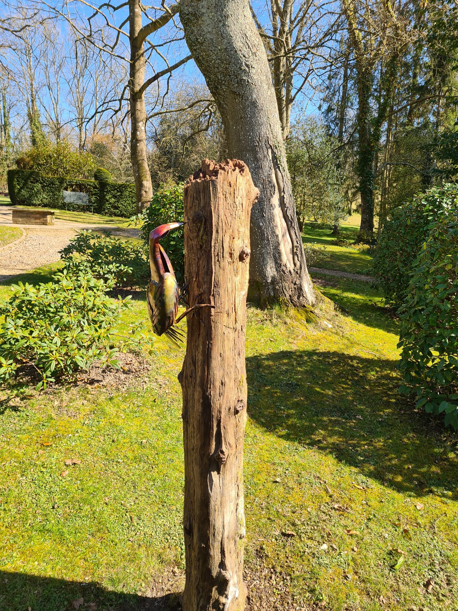 Emily Stone copper Woodpecker on tree sculpture - Copper Creatures
